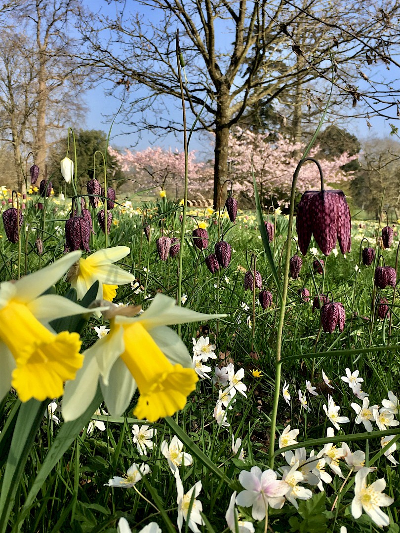 About our Gardens, Godinton House